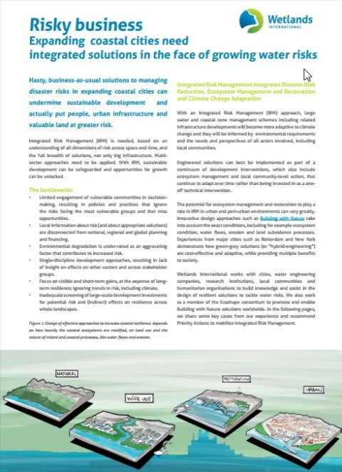Risky business: Integrated solutions for expanding coastal cities ...
