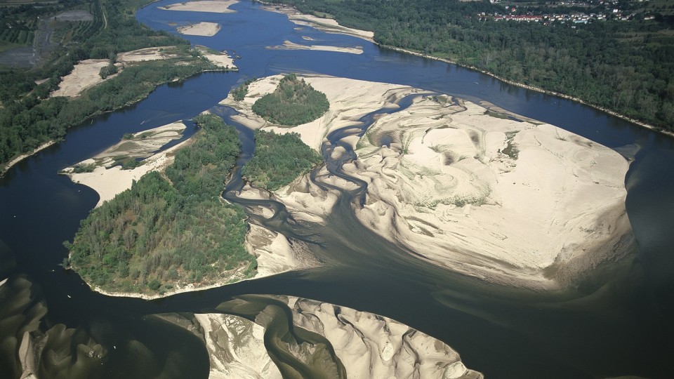 Towards a sustainable vision for river ecosystems and riverine ...