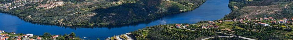 Scientists uncover new information on the Douro river ecosystem ...