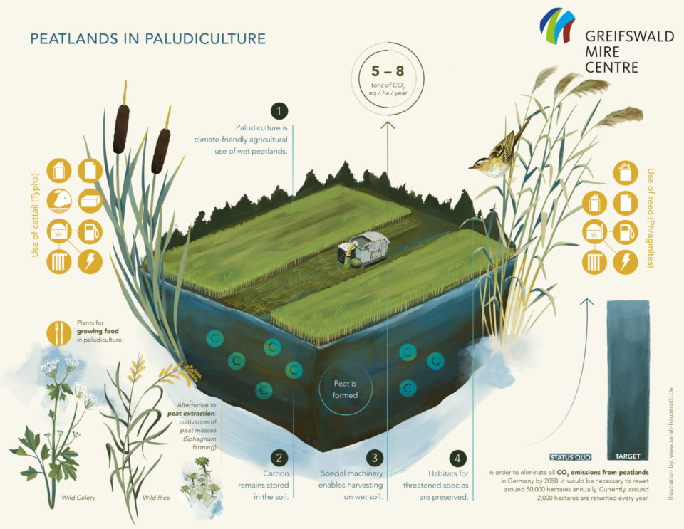 A definition of paludiculture in the CAP - Wetlands International Europe