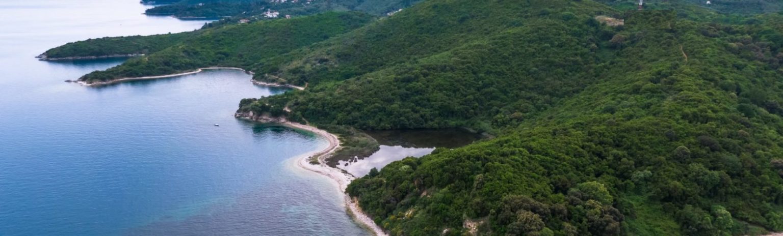 International environmental Alliance issues Red Alert, experts urge ...