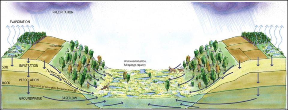 Micro Catchments, Macro Effects - Wetlands International Europe