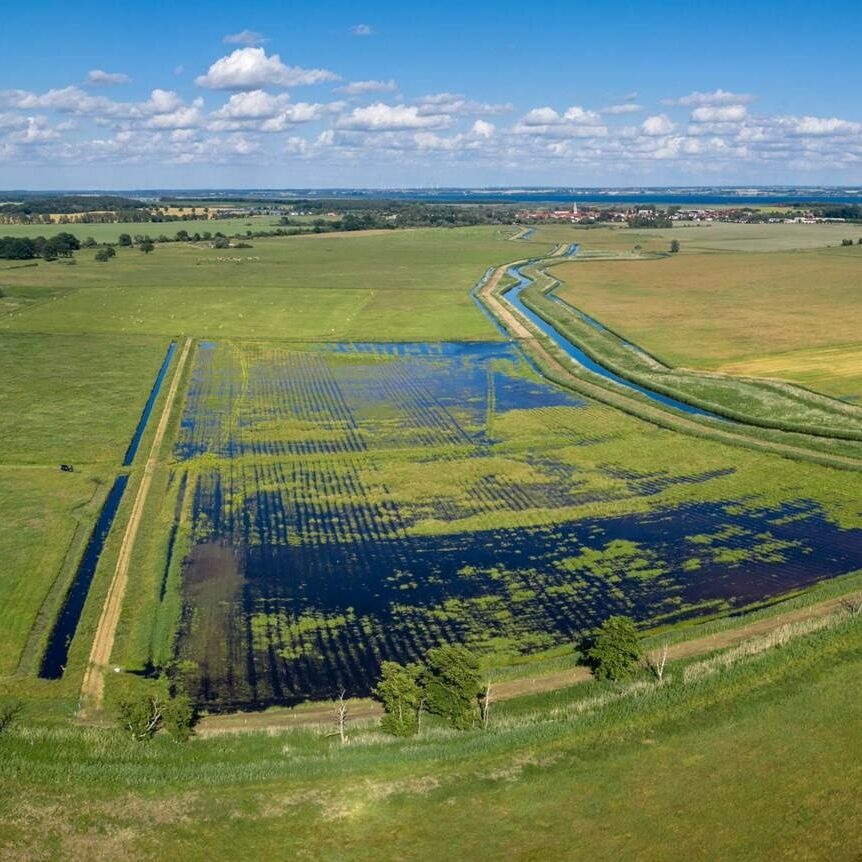 Paludiculture lessons for European peatlands from north-east Germany ...