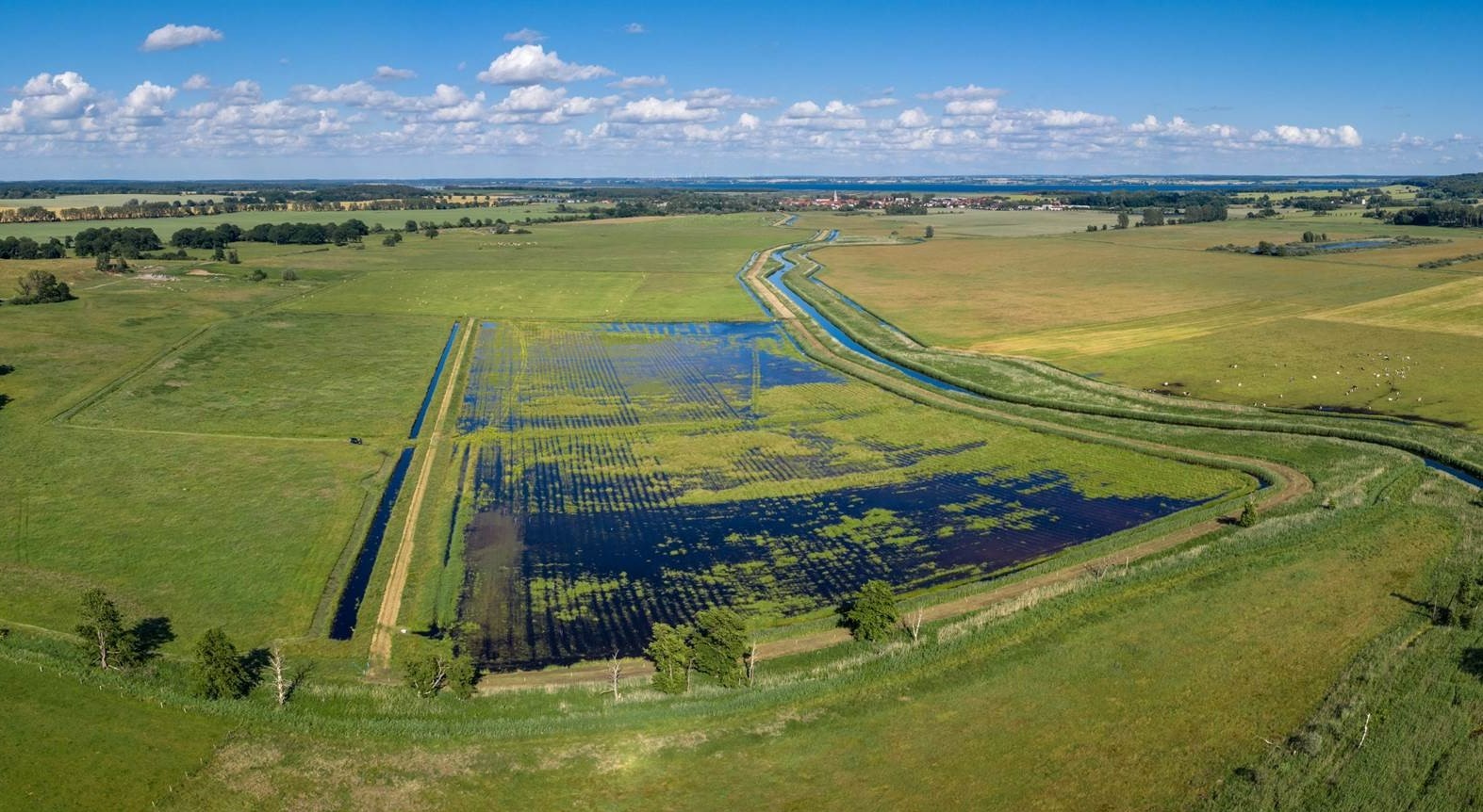 Paludiculture lessons for European peatlands from north-east Germany ...