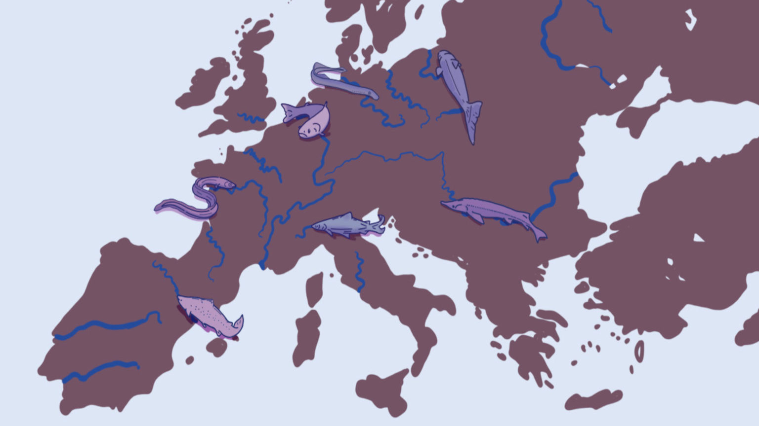 Publications Archive - Wetlands International Europe