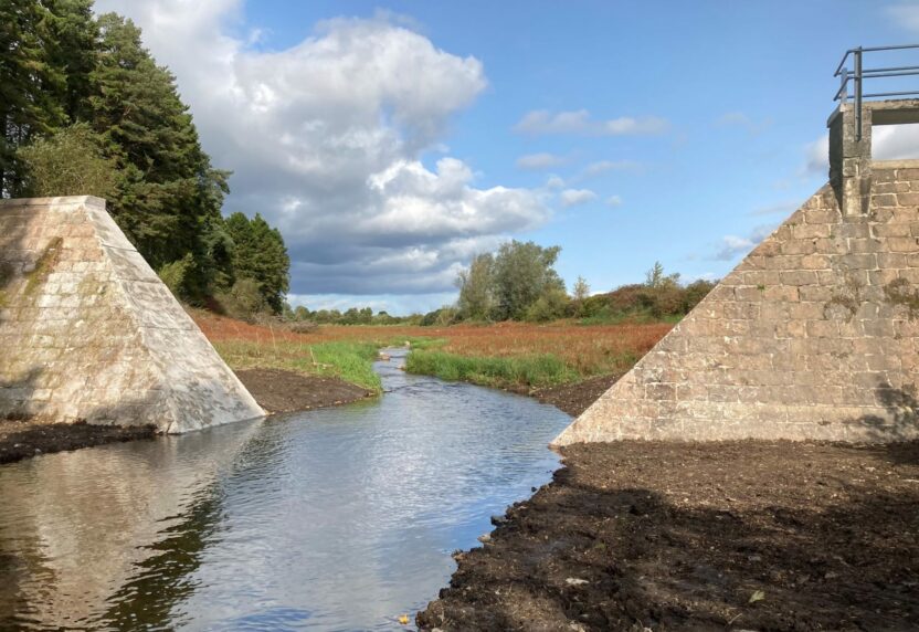 News - Wetlands International Europe