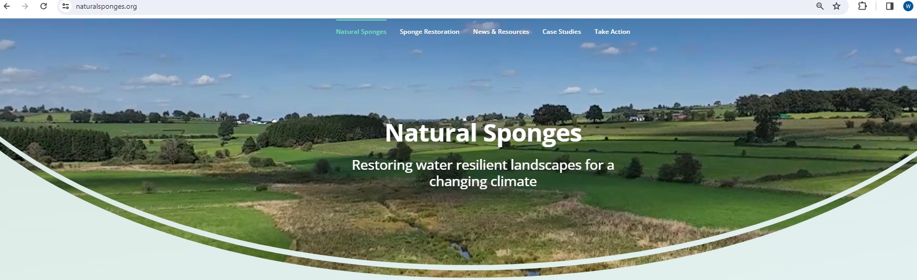 New Natural Sponges website launched - Wetlands International Europe