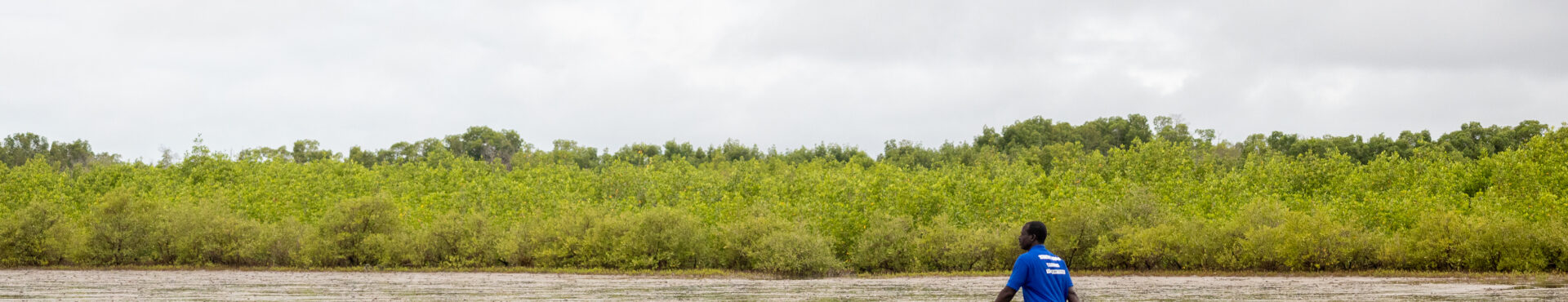 Policy Brief - Restoring Wetlands in Europe; A Joint Effort with ...