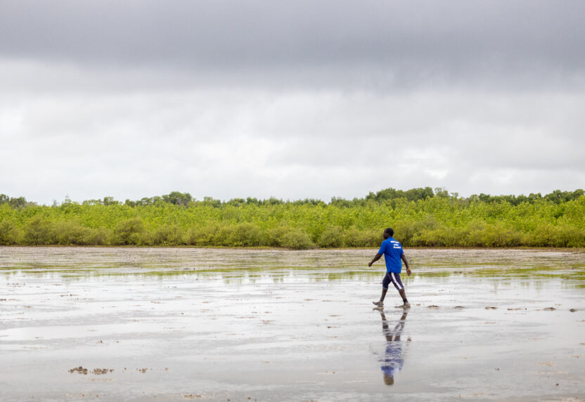 Latest - Wetlands International Europe