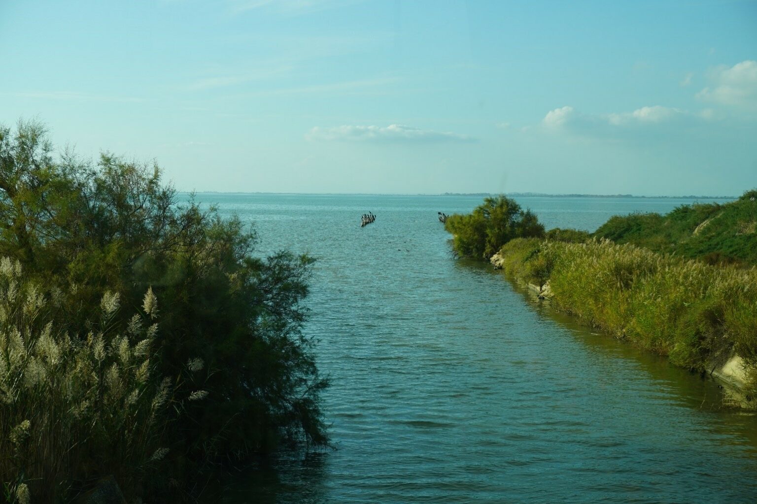 Mediterranean - Wetlands International Europe