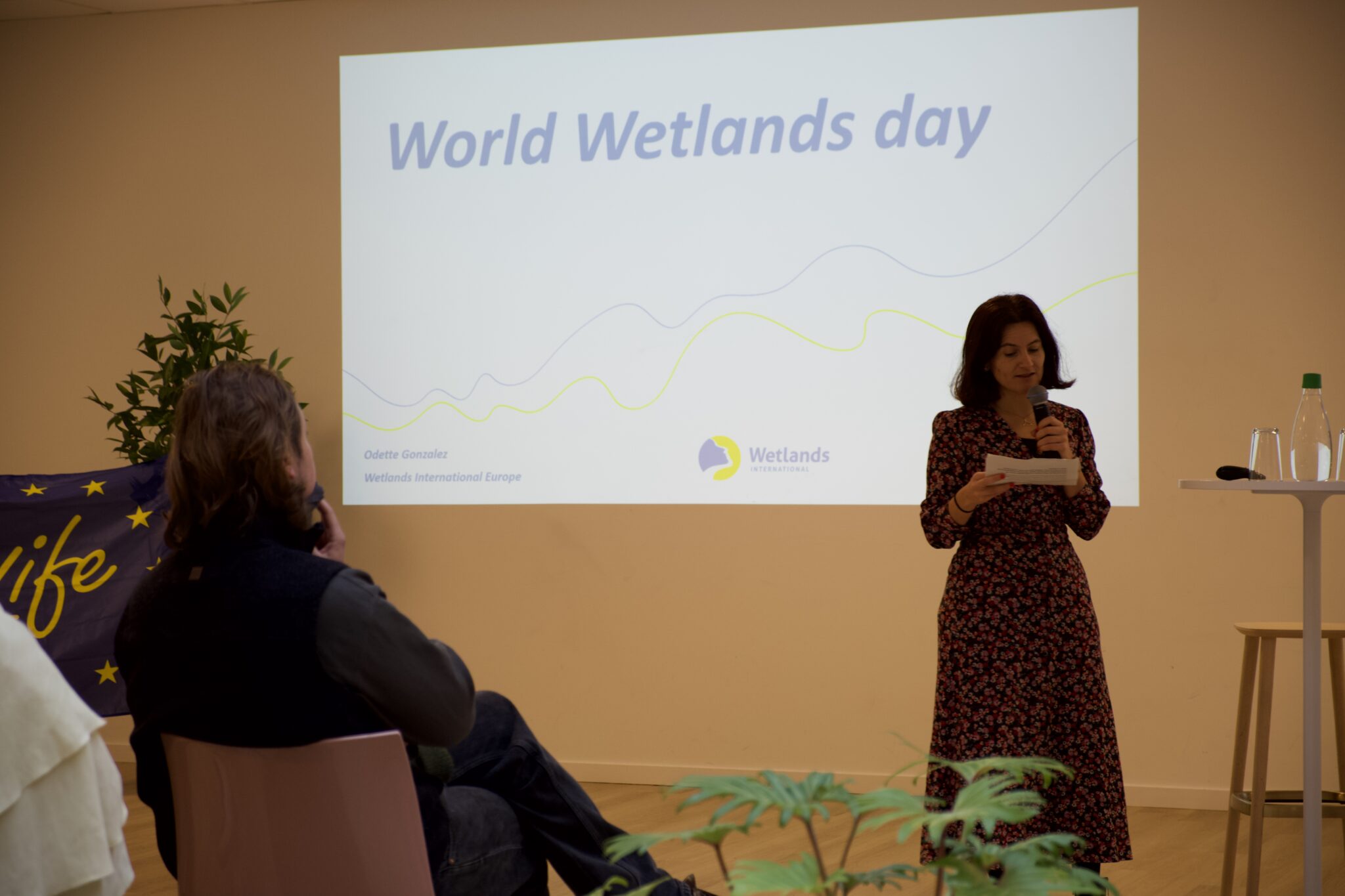 World Wetlands Day: Putting delicious peatlands on the spotlight ...