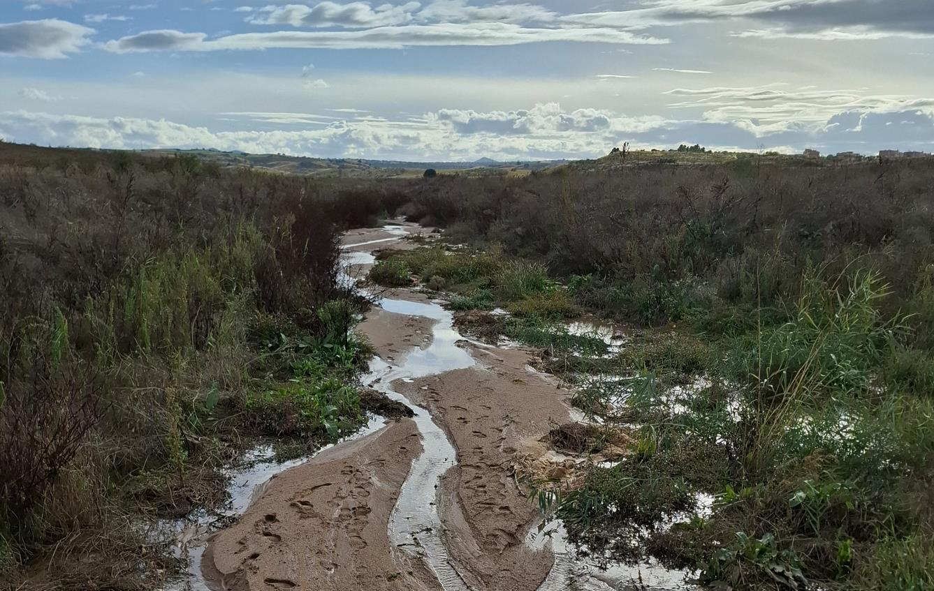 Natural water retention in the Spanish Ramabujas Stream catchment ...