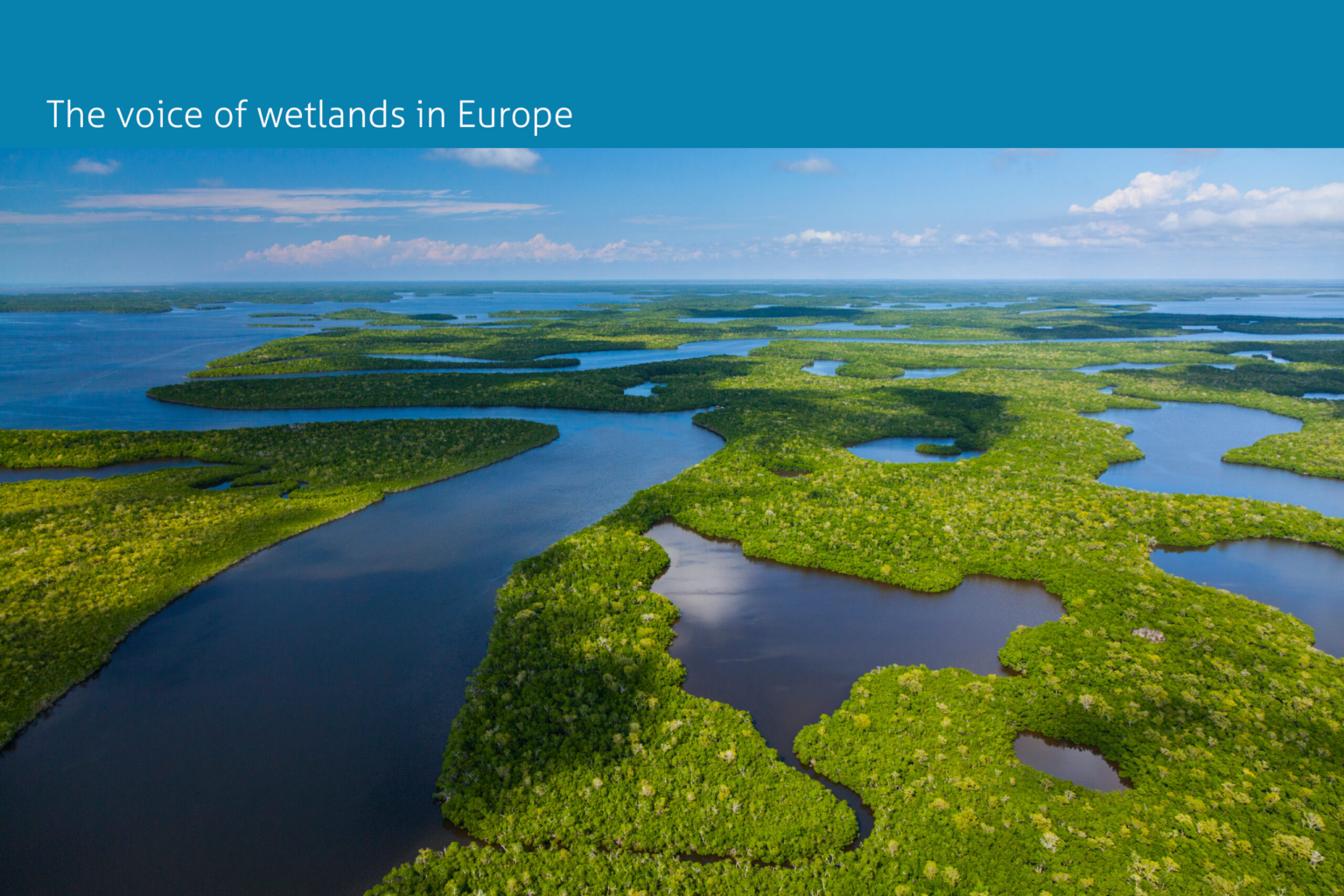 Home - Wetlands International Europe