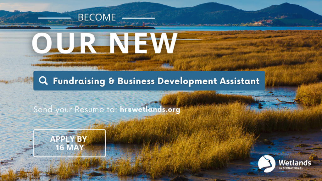 Now hiring for a Fundraising & Business Development Assistant based in ...