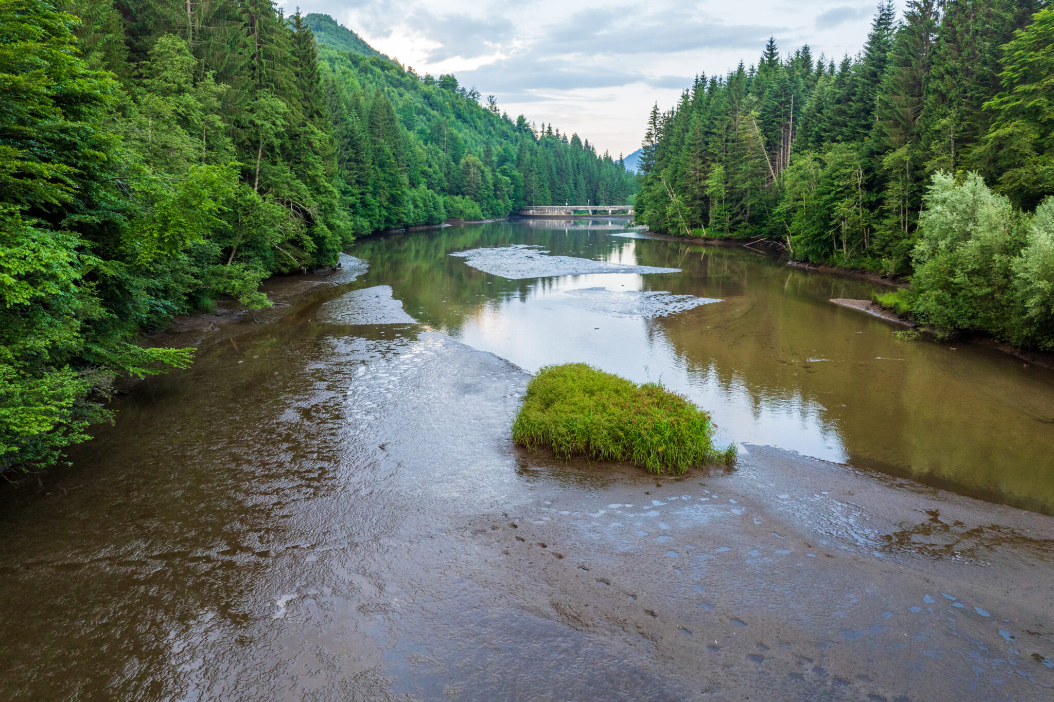 Europe records over 500 river barrier removals in one year - Wetlands ...