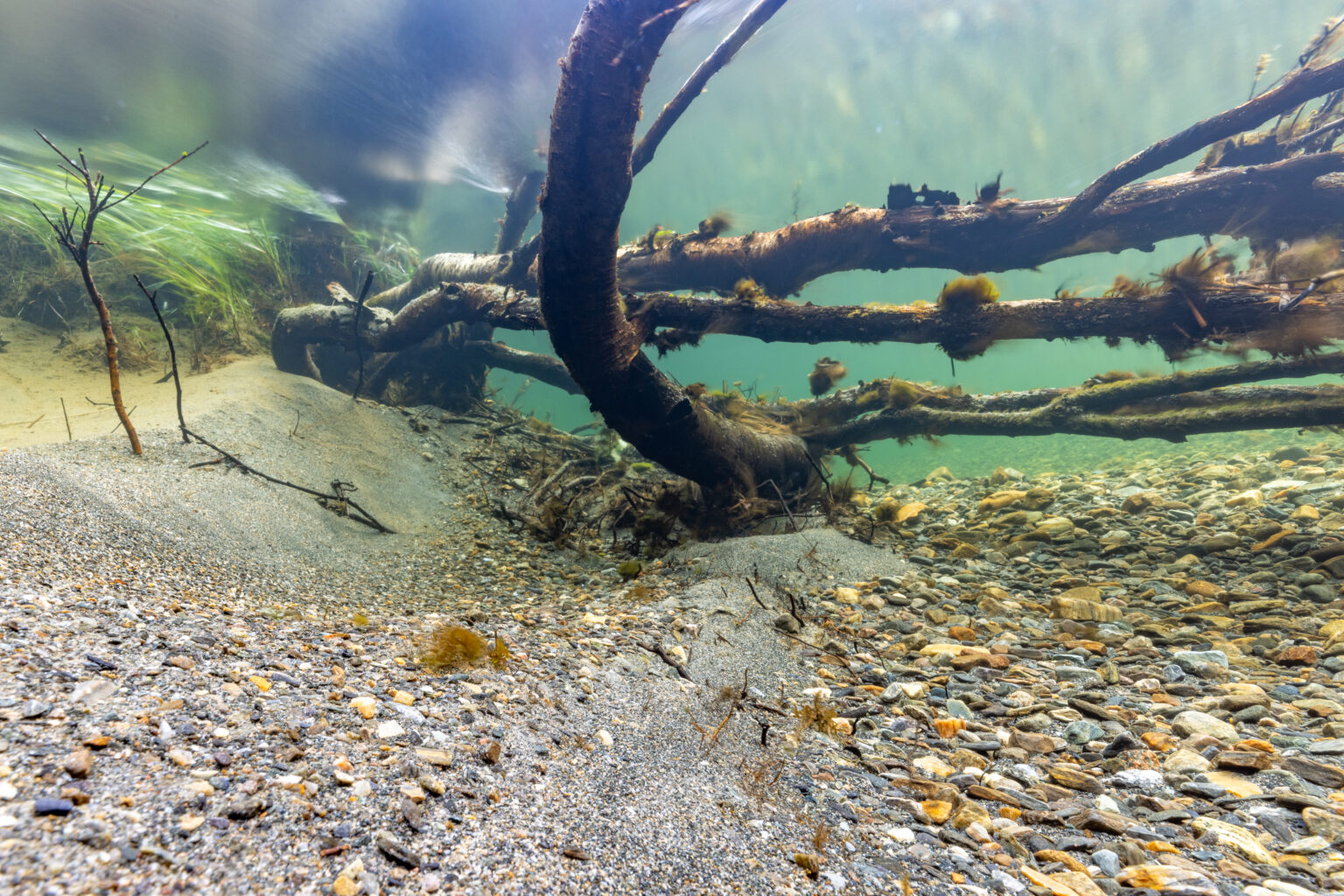 Europe records over 500 river barrier removals in one year - Wetlands ...