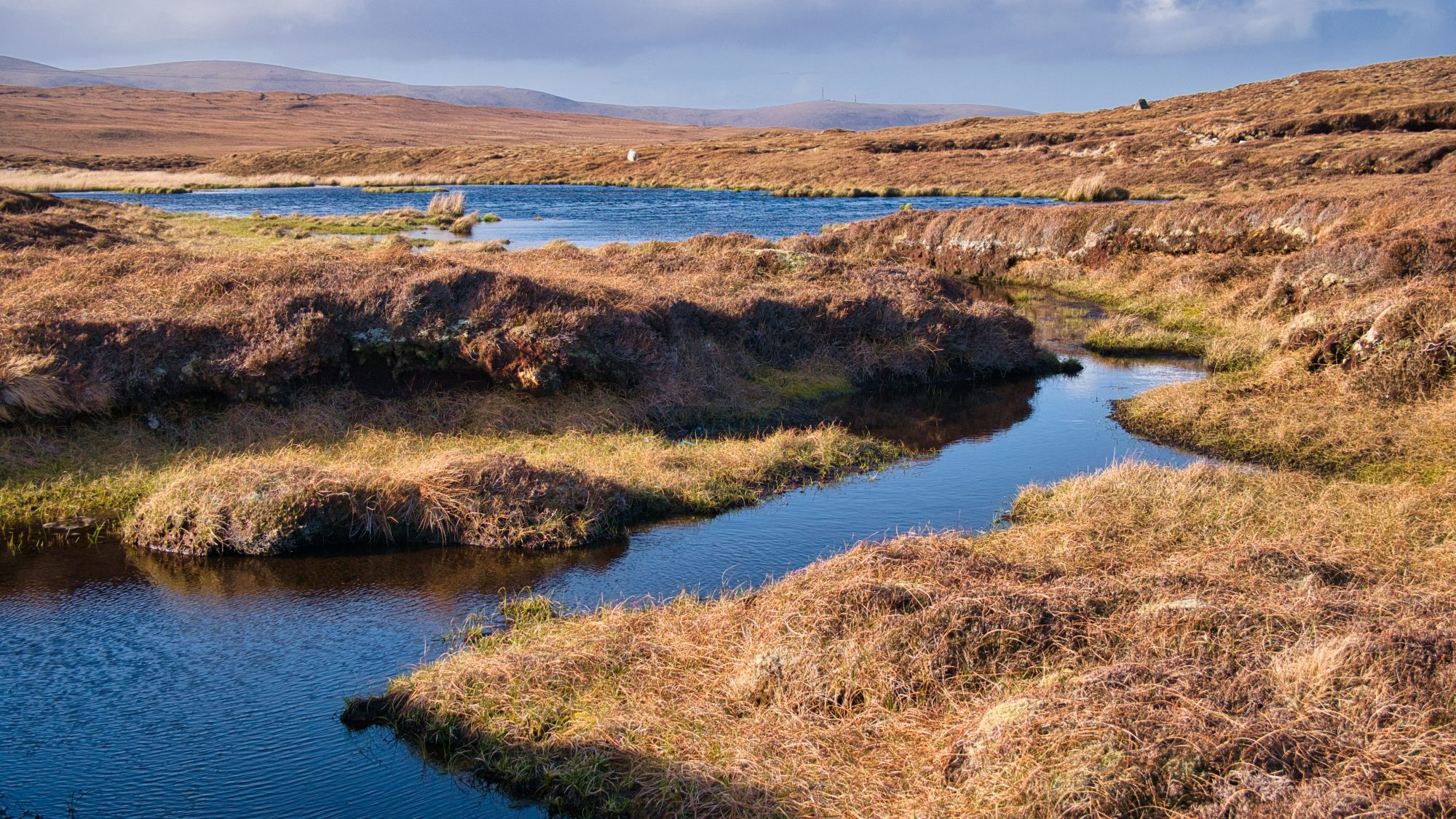 Peatlands Passport - A Tour of Peatland Types - Wetlands International ...
