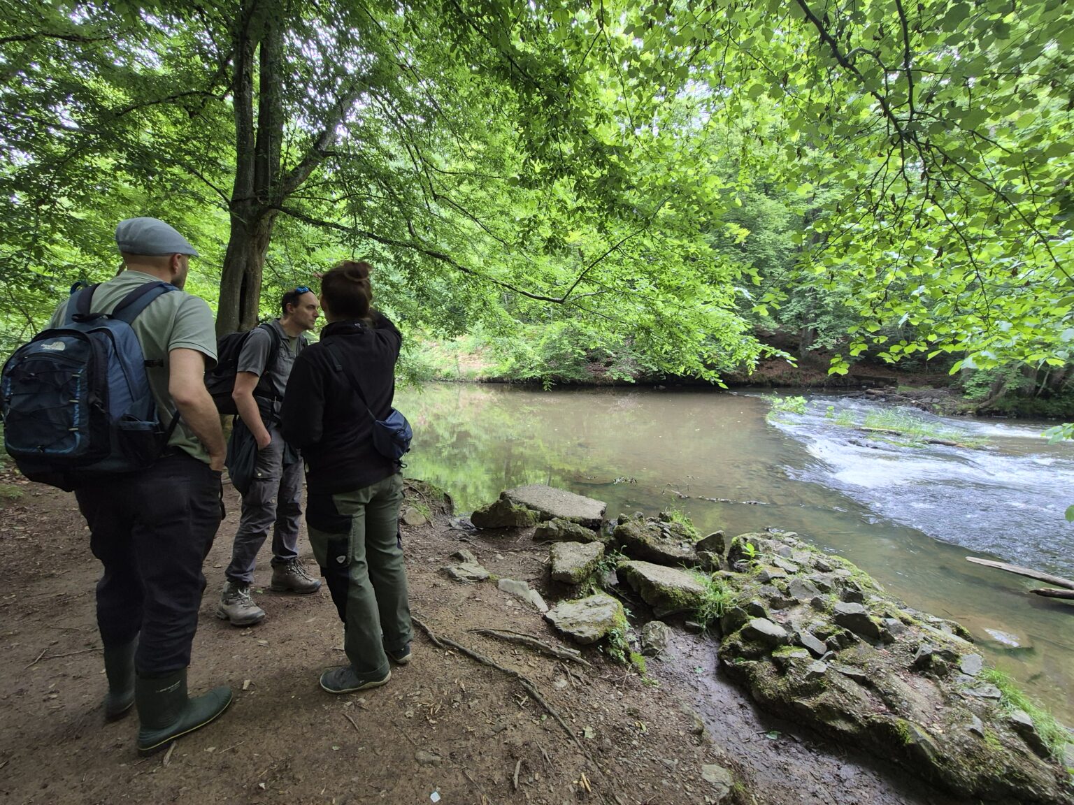 Restoring the Nister River floodplain in Germany - Wetlands ...